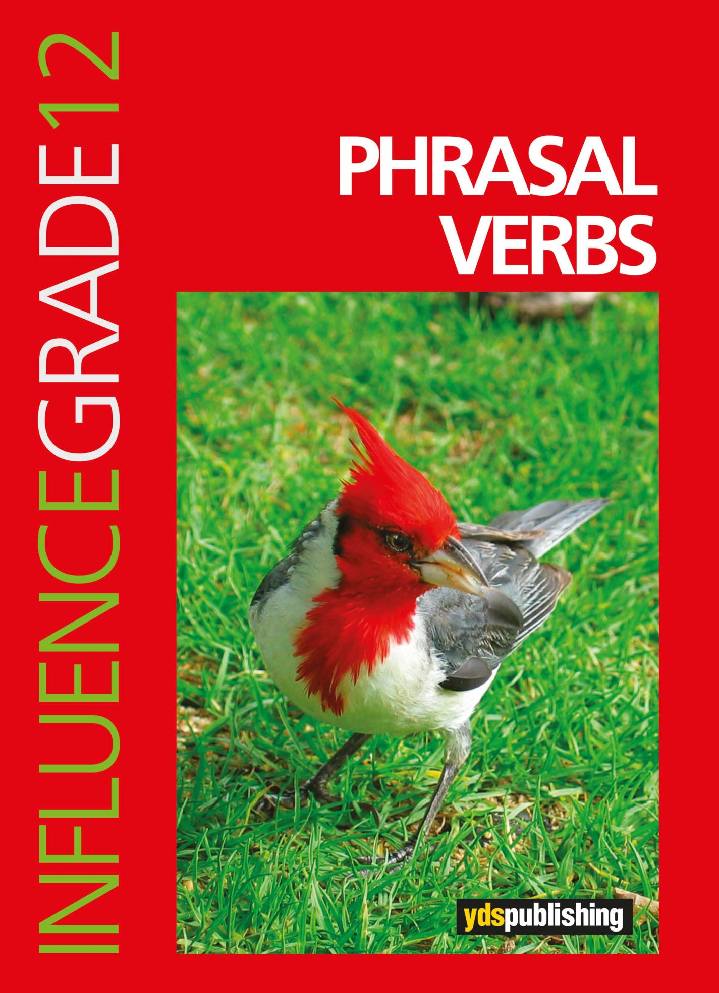 Influence 12 - Phrasal Verb - YDS Publishing